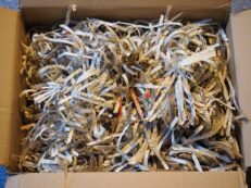 Worm Feeding 101: What to Feed and What to Avoid - Worms4Earth | Live ...